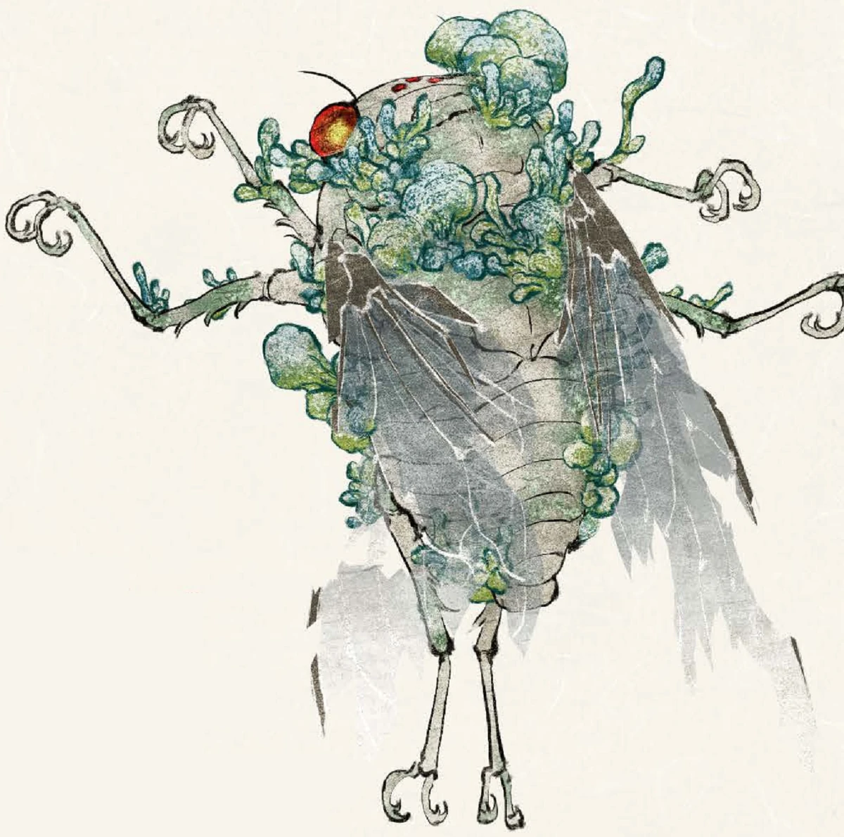 Infected Cicada | GetsuFumaDen Wiki | Fandom