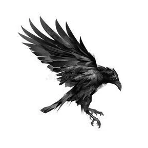 Ravyn | Getting Dicey Wiki | Fandom