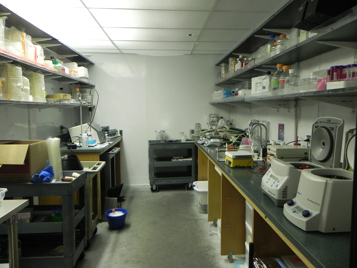 4C Cold Room | Get Your Science On Wiki | Fandom