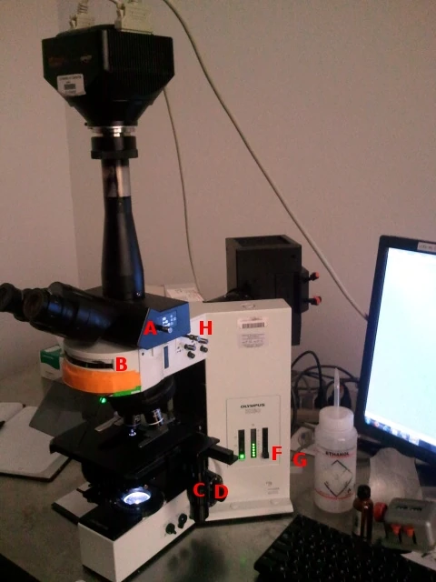 Olympus BX60 Microscope | Get Your Science On Wiki | Fandom