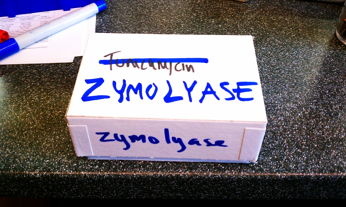 Zymolyase | Get Your Science On Wiki | Fandom
