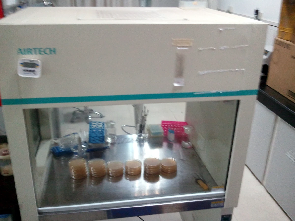 GDMC Airtech Hood | Get Your Science On Wiki | Fandom