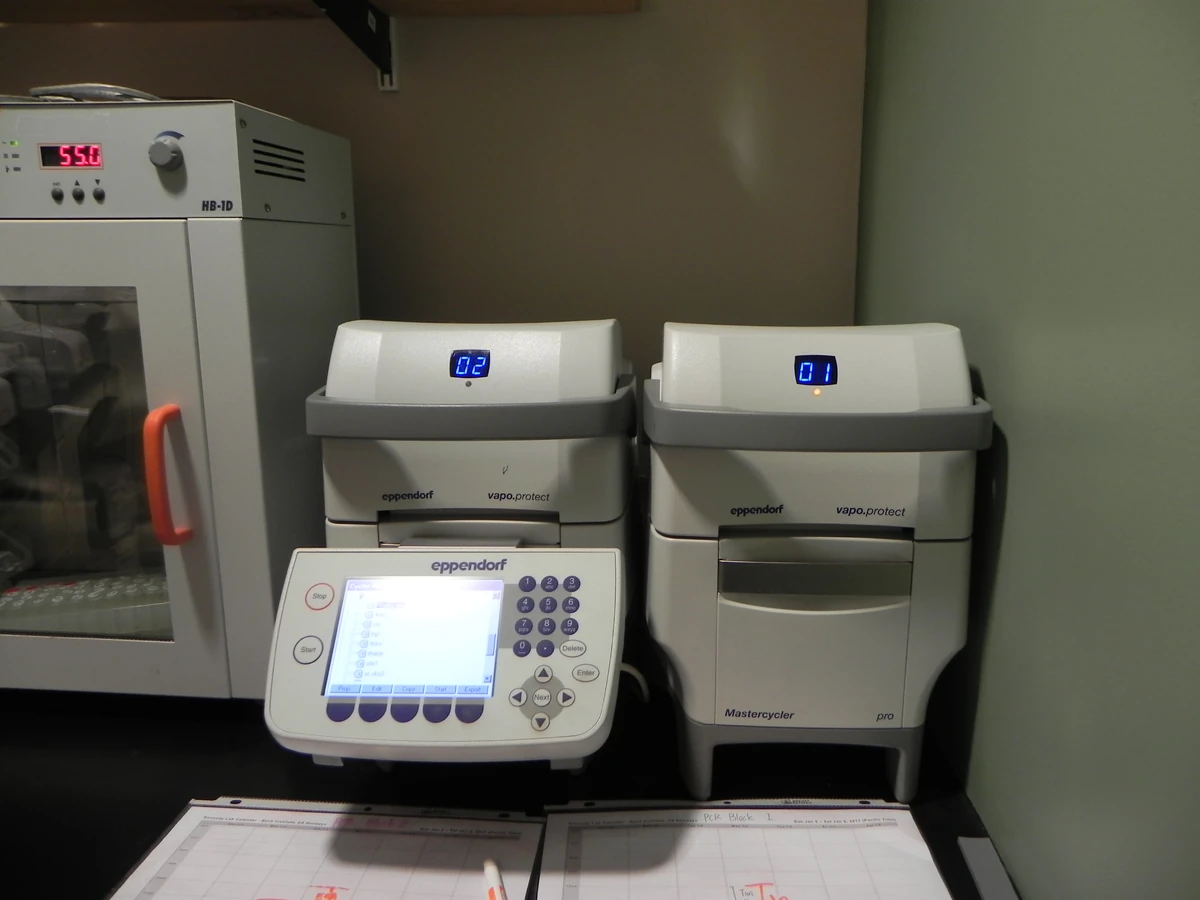 PCR Machines | Get Your Science On Wiki | Fandom