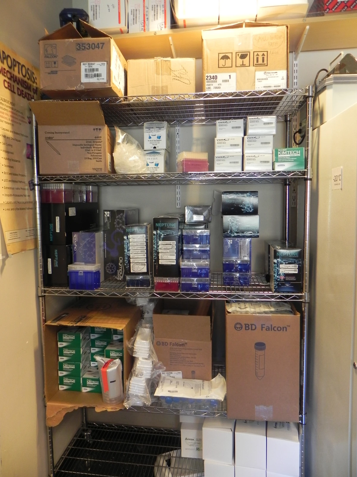 1.5 ml Eppendorf tubes | Get Your Science On Wiki | Fandom