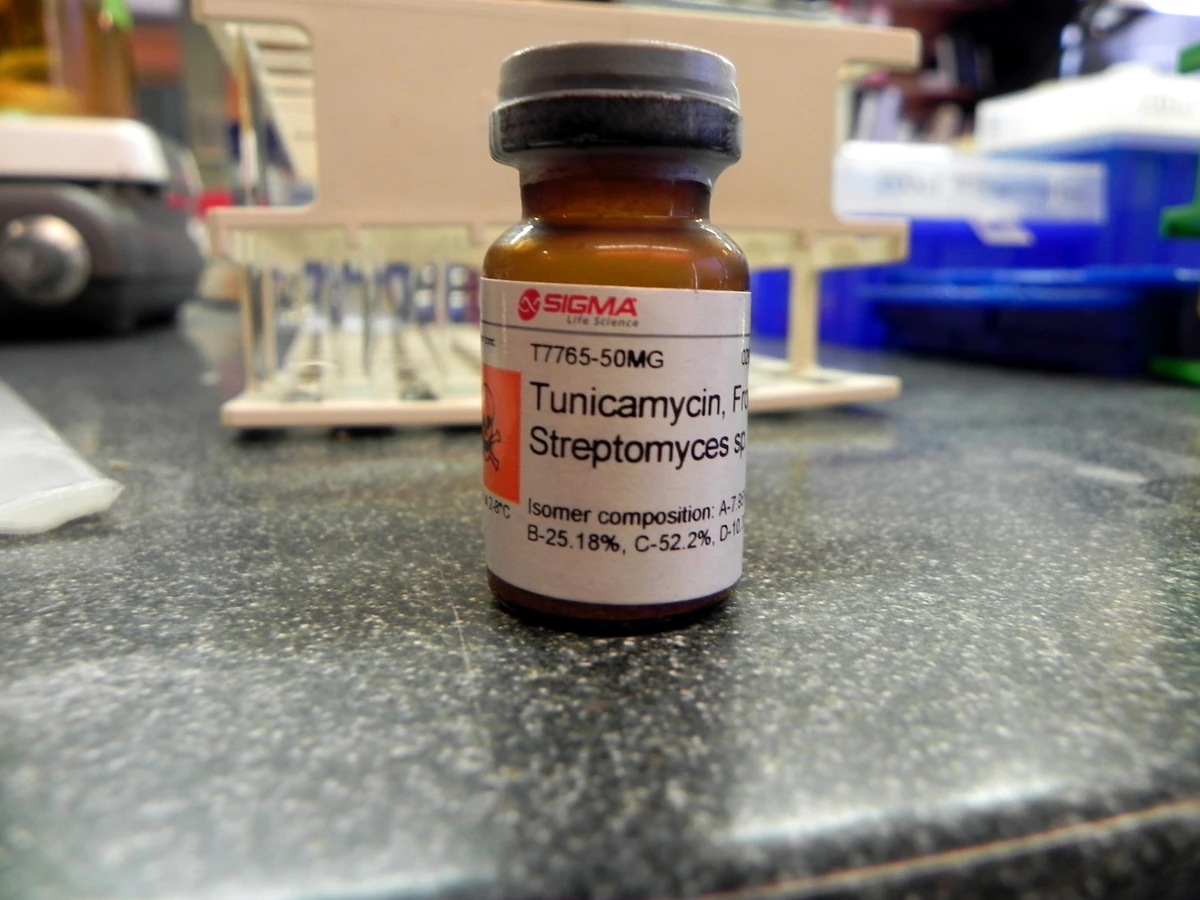 Tunicamycin | Get Your Science On Wiki | Fandom
