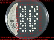 Tetrad Scoring | Get Your Science On Wiki | Fandom