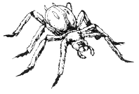 Spider | Gex wiki | Fandom