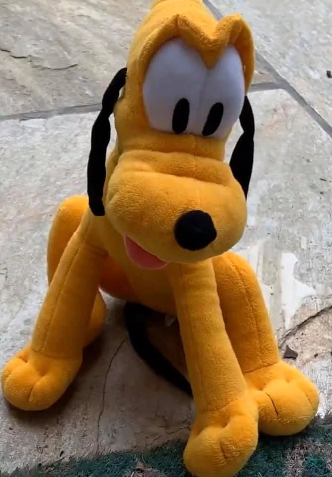 Pluto | GG Games R Us Movies Wiki | Fandom