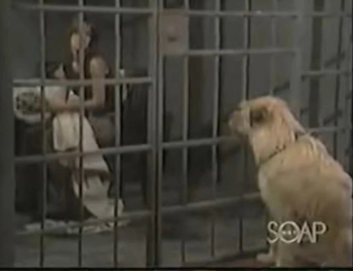 Category:Characters | General Hospital (1963-Today) Wiki | Fandom