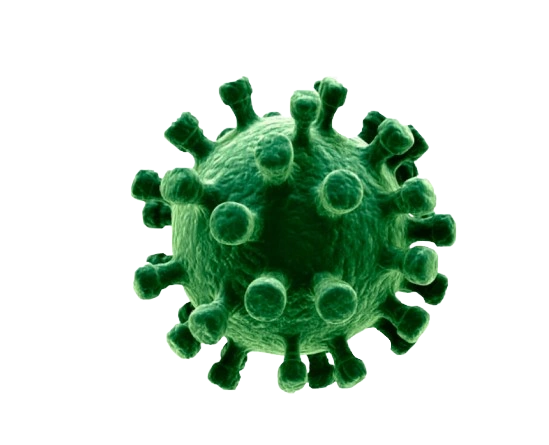 Skibidi Virus | Ghavtv Wiki | Fandom