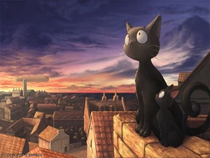 Jiji | Ghibli Wiki | Fandom