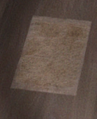 Favorite Things | Ghost Exile Wiki | Fandom