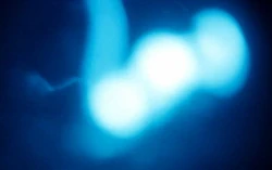 Poltergeist | Ghost Hunter Wiki | Fandom