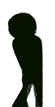 Shadow | GhostAlleyCat Wiki | Fandom