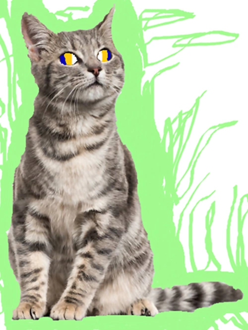 Sherry and Yugi Team | GhostAlleyCat Wiki | Fandom