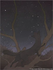 Kokuko | GhostAlleyCat Wiki | Fandom