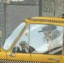 Zombie Taxi Driver | Ghostbusters Wiki | Fandom