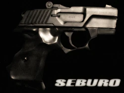 Seburo | Ghost in the Shell Wiki | Fandom