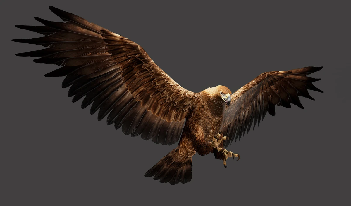 Birds | Ghost Franchise Wiki | Fandom