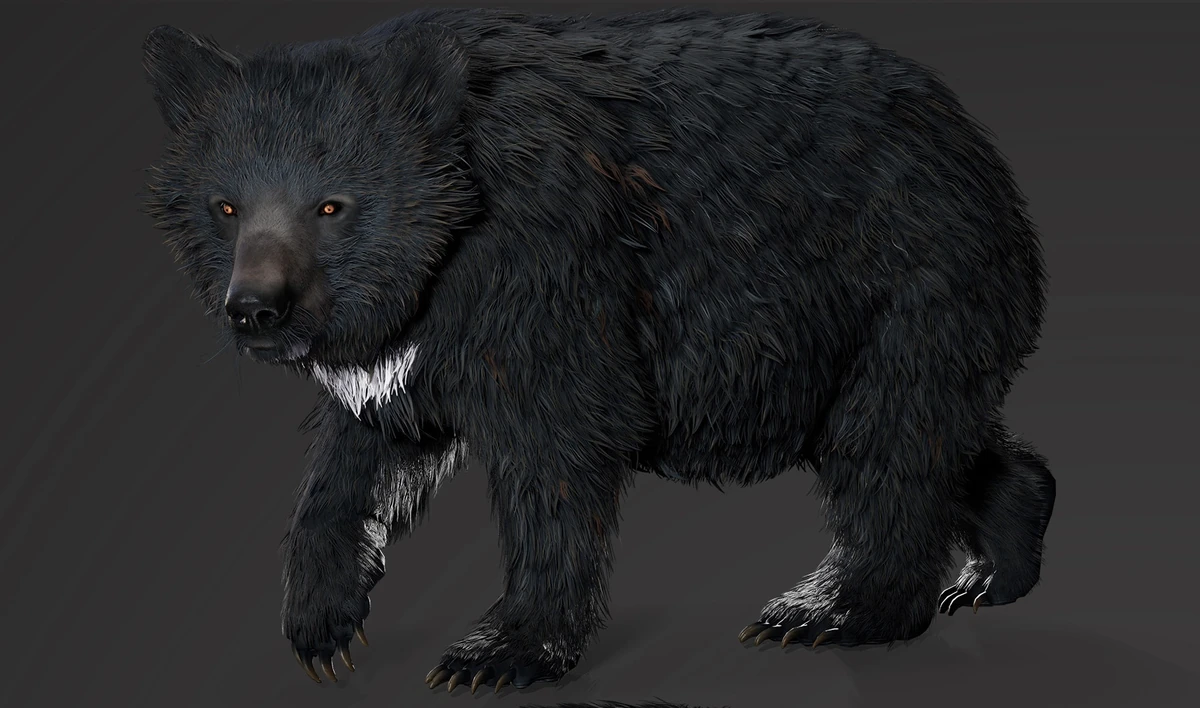 Animals | Ghost Franchise Wiki | Fandom