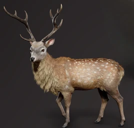 Animals | Ghost Franchise Wiki | Fandom