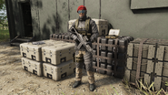 SENTINEL CORP. | Ghost Recon Wiki | Fandom