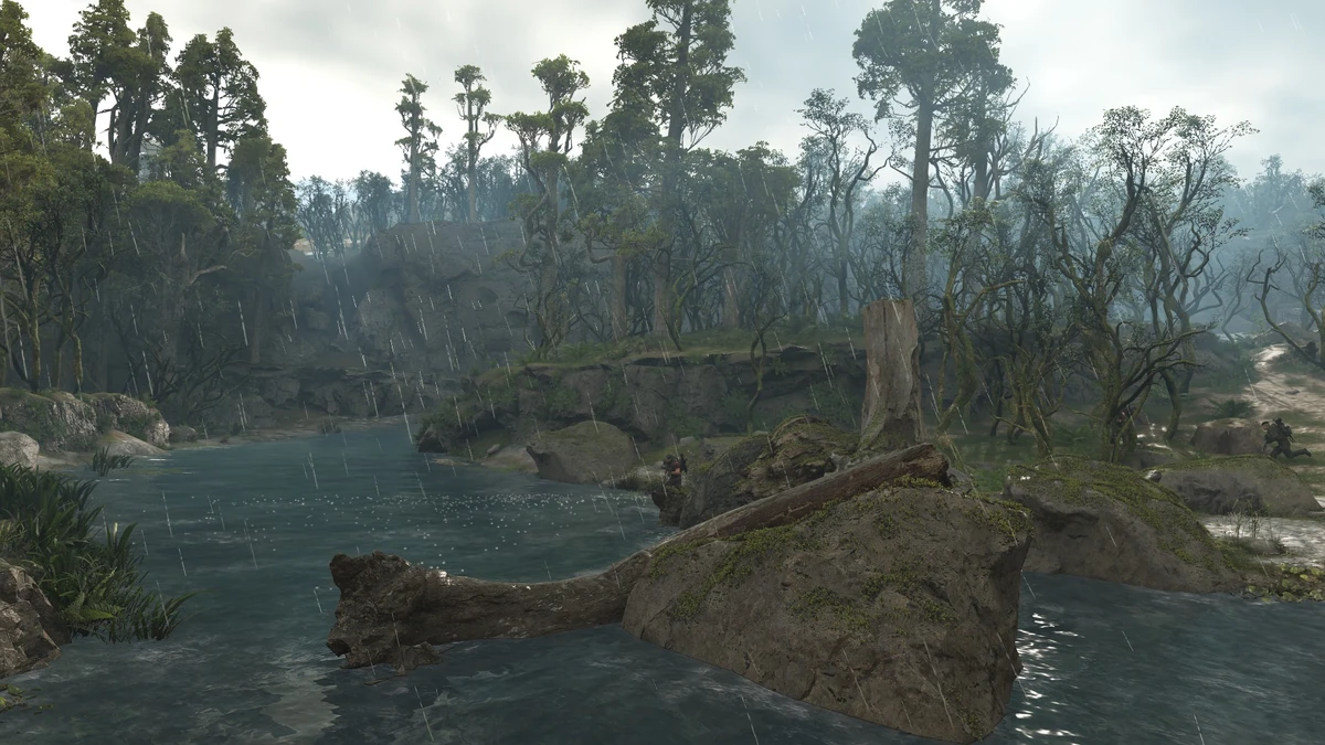 Devil Forest | Ghost Recon Wiki | Fandom