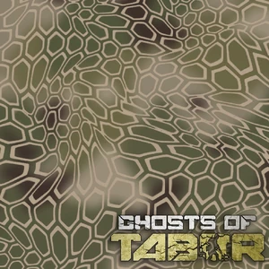 Weapon Skins System | Ghosts of Tabor Wiki | Fandom