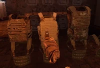 Ballistics | Ghosts of Tabor Wiki | Fandom