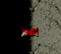Raven | Ghosts 'n Goblins Wiki | Fandom