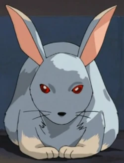 Anime Pet Rabbit