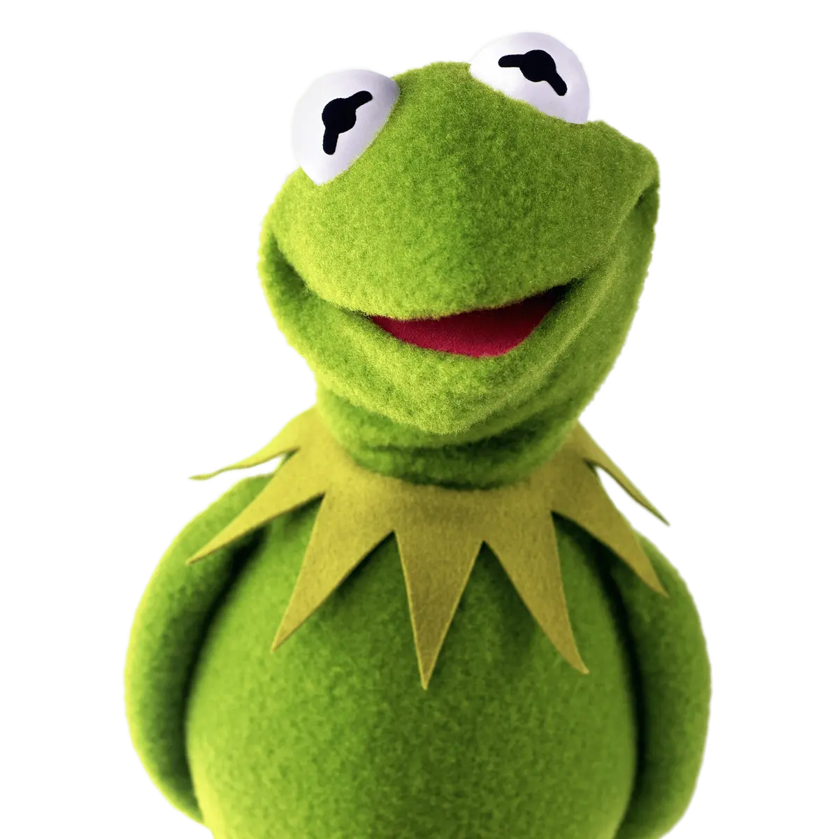 Kermit the Frog | Guitar Hero World Tour: Definitive Edition Wiki | Fandom