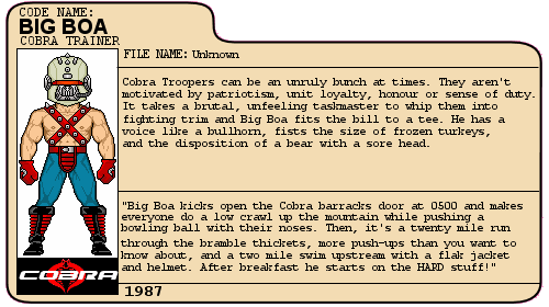 Big Boa | G.I.-Joe-Microheroes Wiki | Fandom