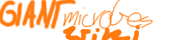 Giant microbes Wiki | Fandom