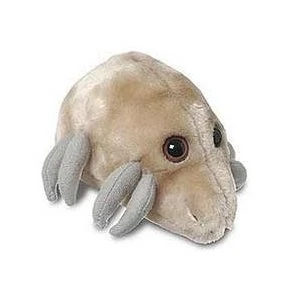 Dust Mite | Giant Microbes Wiki | Fandom