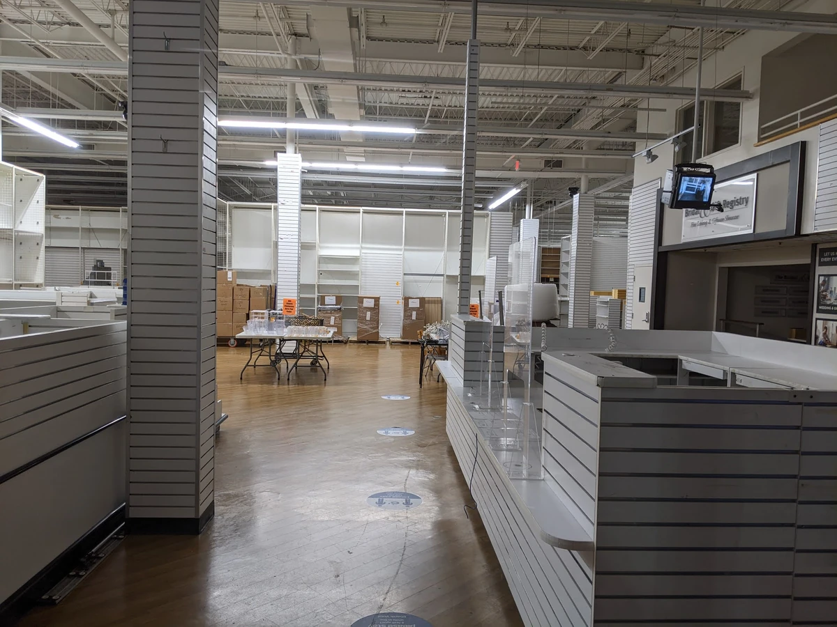 Kittee | Plantcarepedia Wiki | Fandom