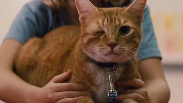 Fred | Gifted movie Wiki | Fandom