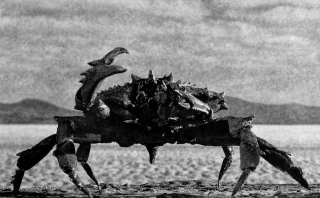 Giant Crabs (When Dinosaurs Ruled the Earth) | Gigan389 Wiki | Fandom