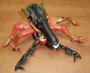 Arachnid Xenomorph | Gigan389 Wiki | Fandom