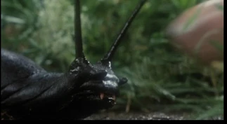 Killer Slugs | Gigan389 Wiki | Fandom