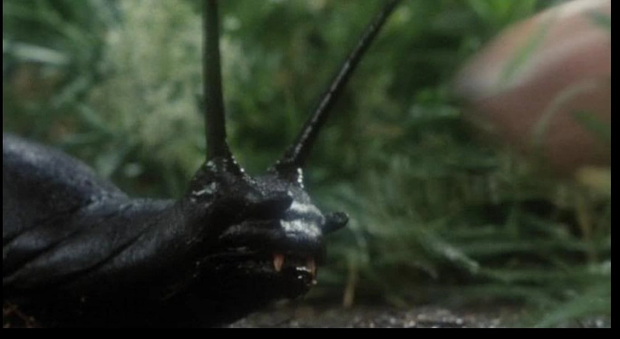 Killer Slugs | Gigan389 Wiki | Fandom