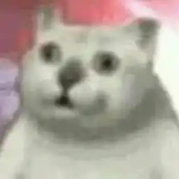 Frostpaw | GigglerCats Wiki | Fandom