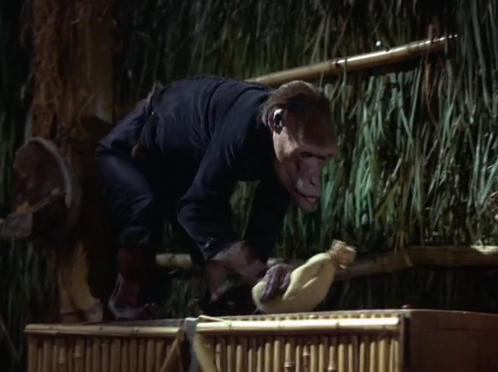 Igor the Monkey | Gilligan's Island Wiki | Fandom