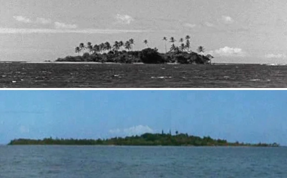 The Island | Gilligan's Island Wiki | Fandom