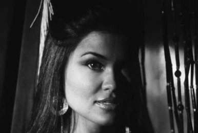 Ray Stephens Village People