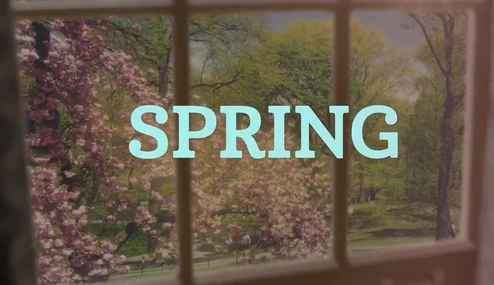 Spring | Gilmore Girls Wiki | Fandom