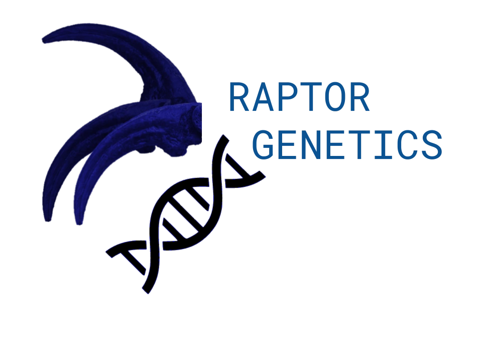 User blog:Gim-Pic Productions/Gimkit: The Movie Characters | Gimkit ...