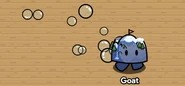 Fizz | Gimkit Wiki | Fandom