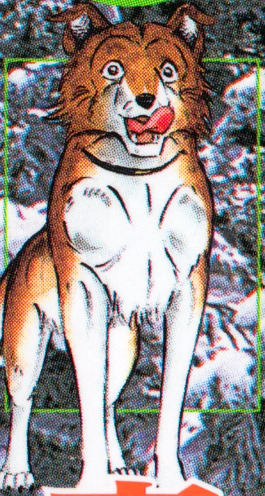 Ram | Ginga Wiki | Fandom