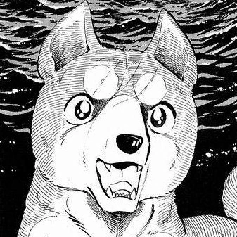 Gin | Ginga Wiki | Fandom